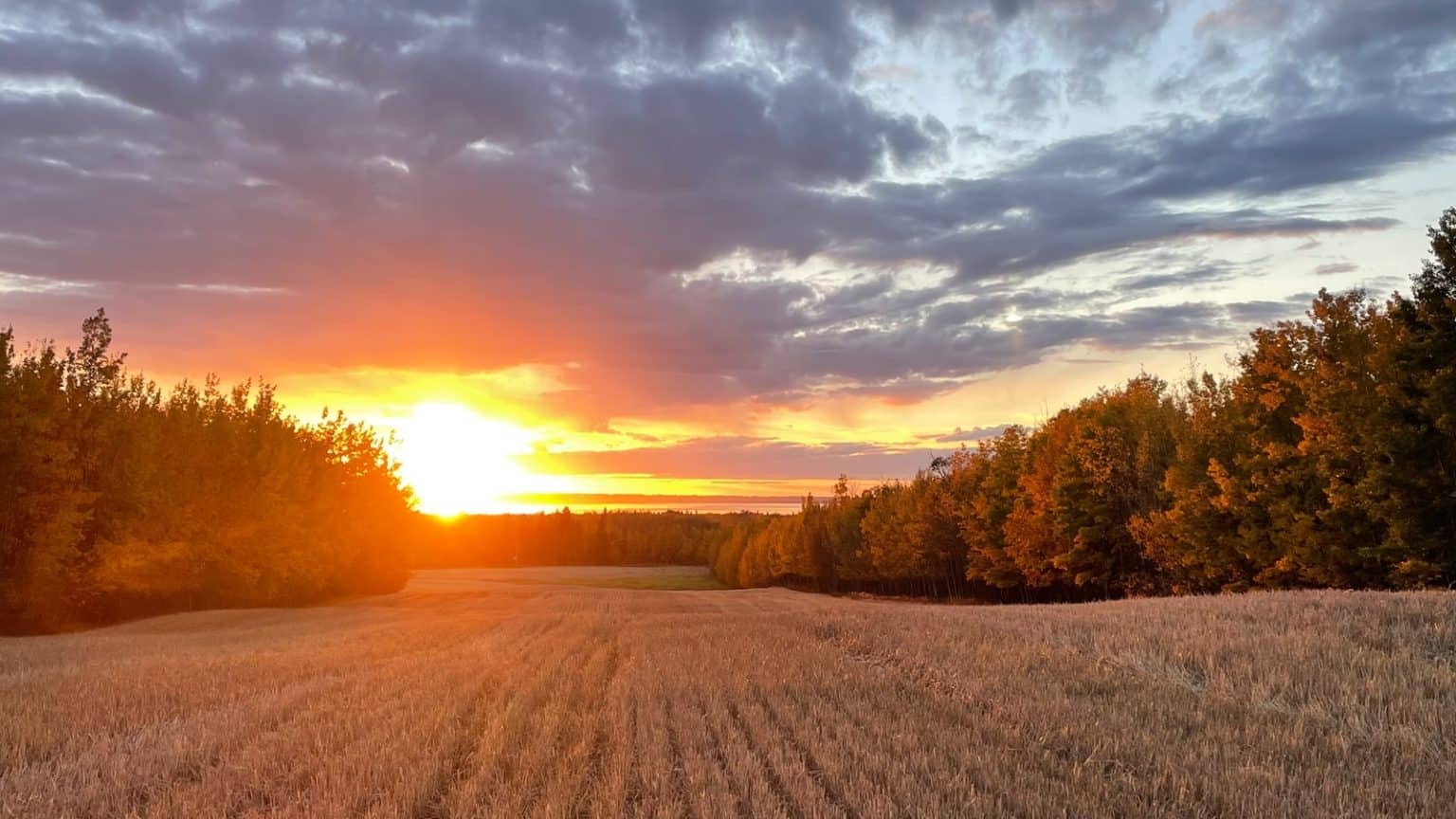 Welcome to ARMAA - Alberta Rural Municipal Administrators' Association